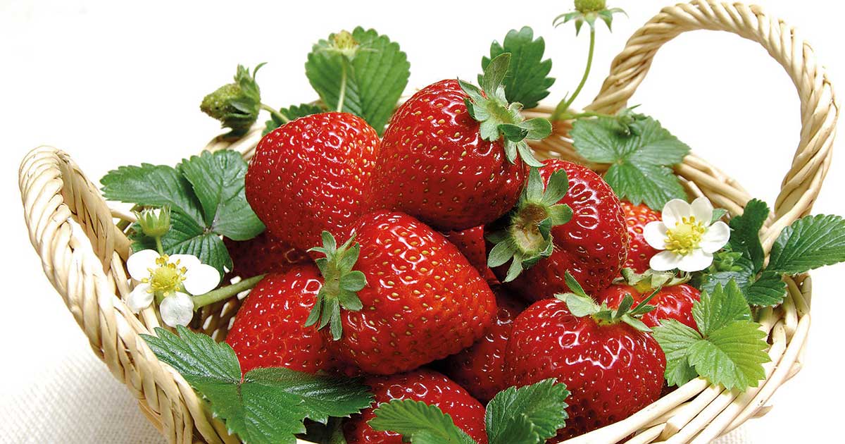 taste-and-flavors-garden-flavors-strawberries-fb - Taste & Flavors